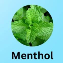 How Menthol Helps to Relieve Knee Pain the Natural Way Section 3: Ment ...